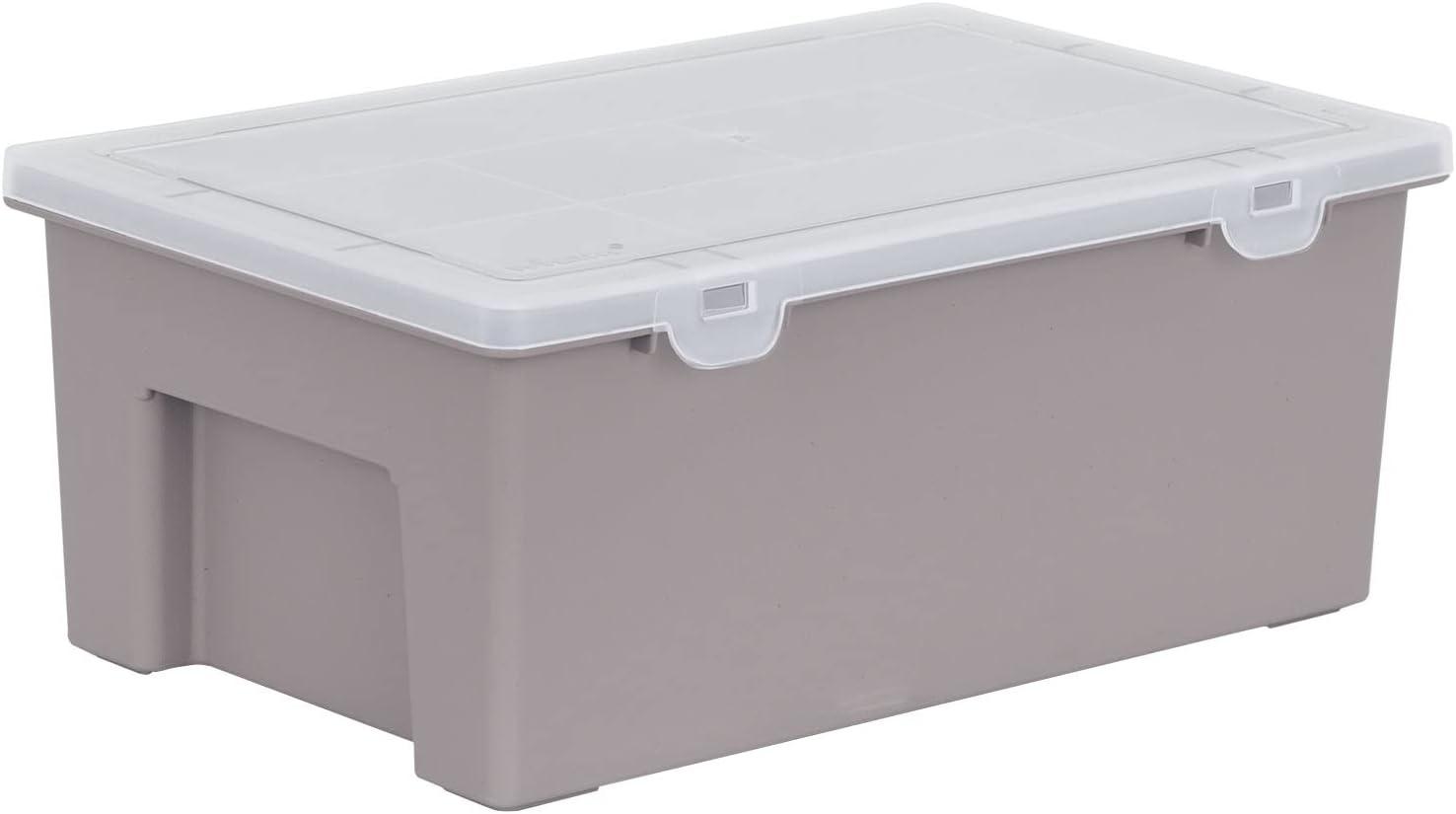 WHAM 24100 Deep Organiser Box with 19 Division Tray, 38 x 30 x 15cm ...
